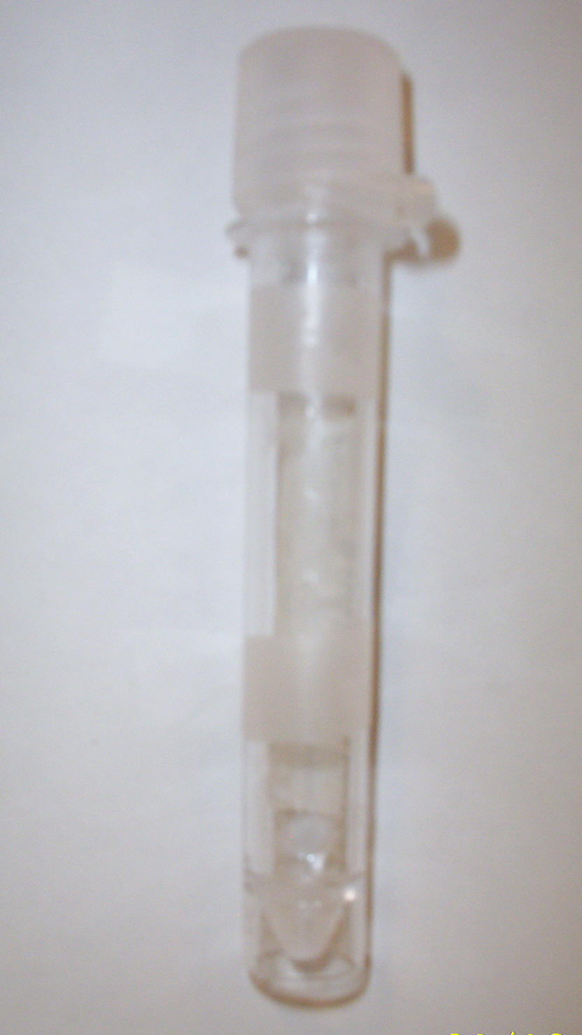 Cell Count (Cerebral Spinal Fluid) - BCHS
